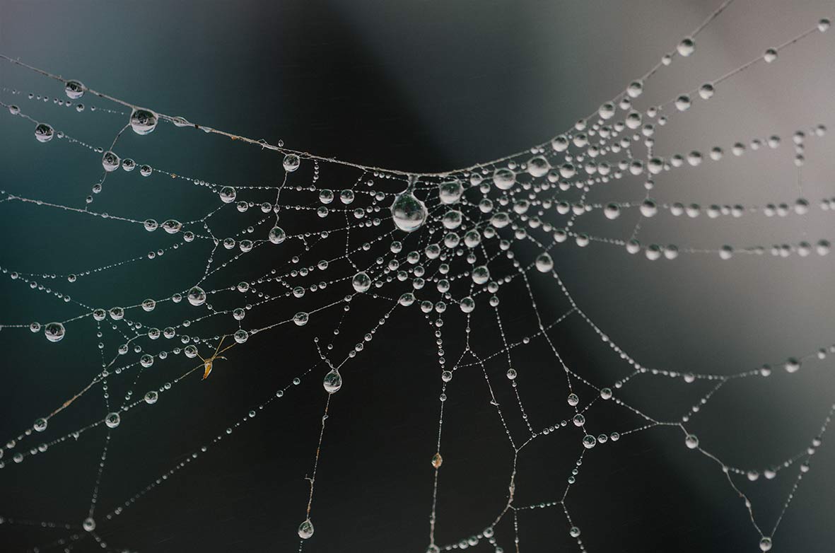 Am seidenen Faden: Droht eine US-Rezession? | Warburg Navigator – M.M ...